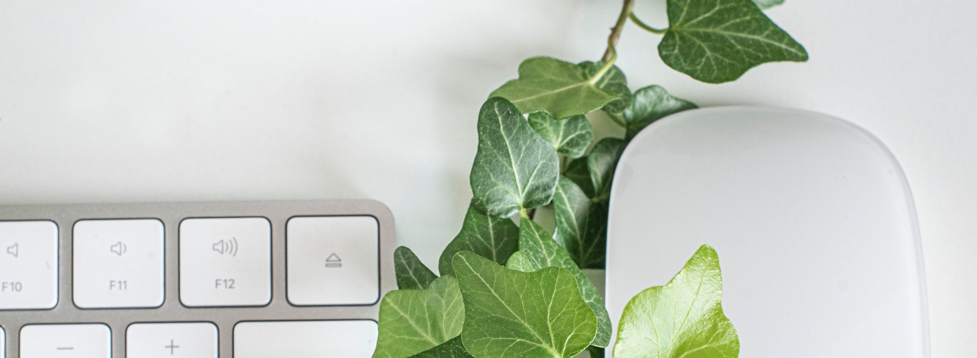 Green Digital Practices That You Can Implement At The Individual Level